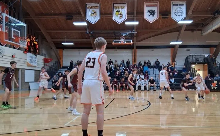 Bayer targets return to mid-single-digit pharma growth by 2027 | WTVB ...