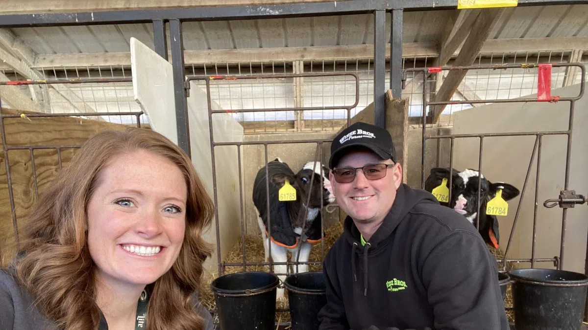 Wiese Brothers Farms: Keeping calves comfortable in the winter | WDEZ ...