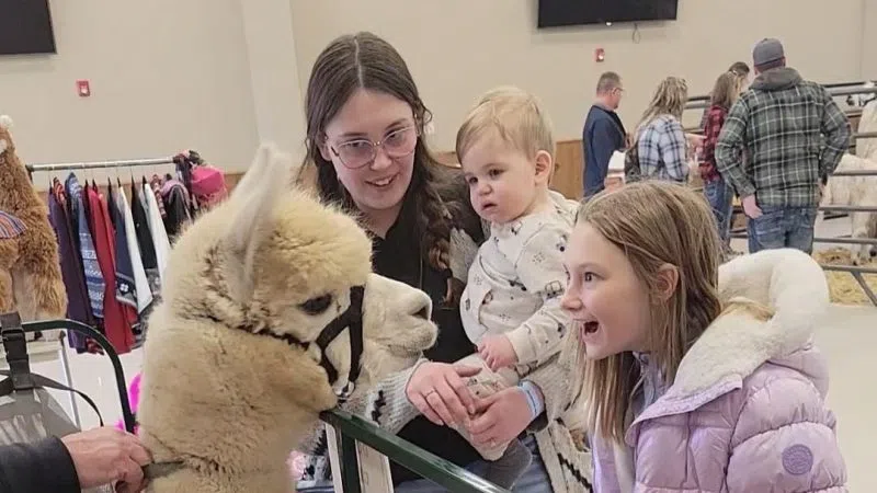 U.S. has shipped 400 million COVID vaccine doses worldwide -White House ...