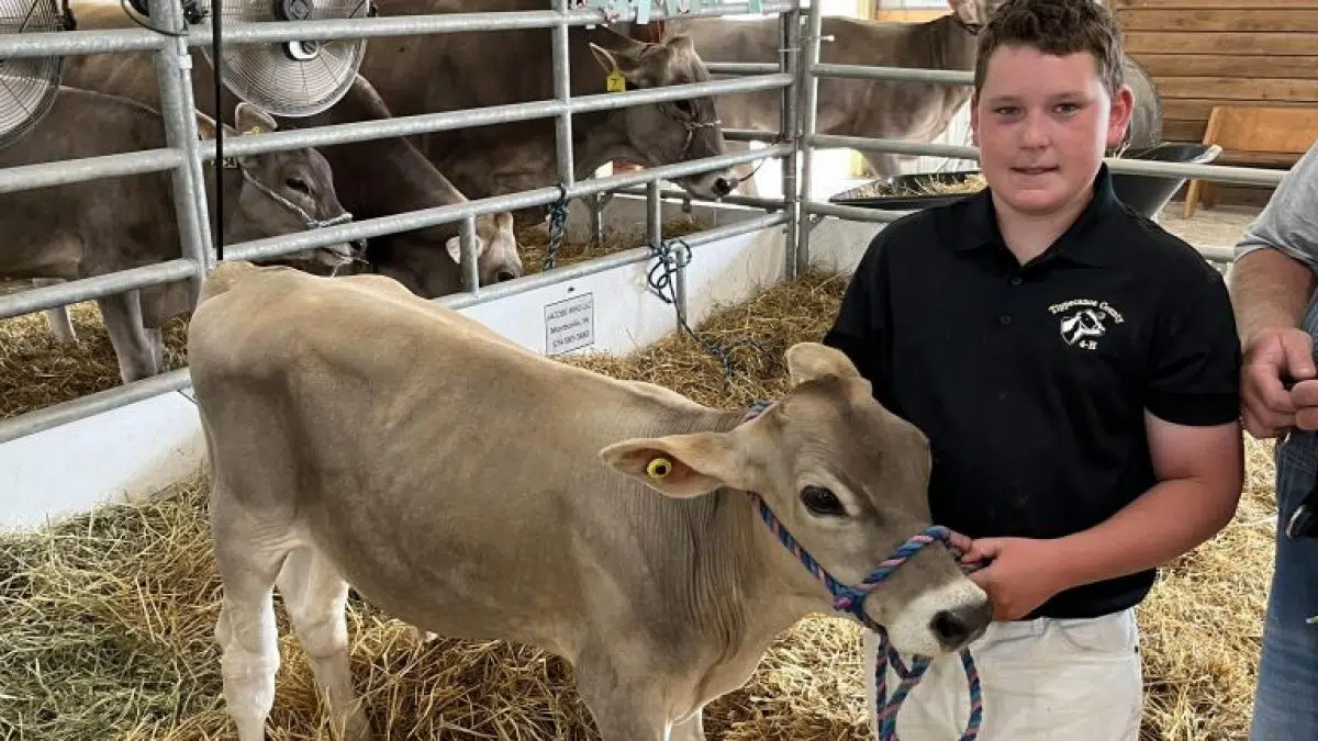 Kids Shine at the Tippecanoe County 4-H Fair | Neuhoff Media