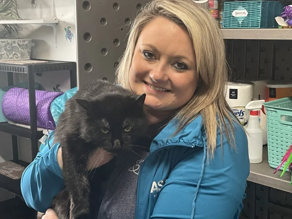 Vermilion Co Animal Shelter Reports Progress on AC / Foster and ...