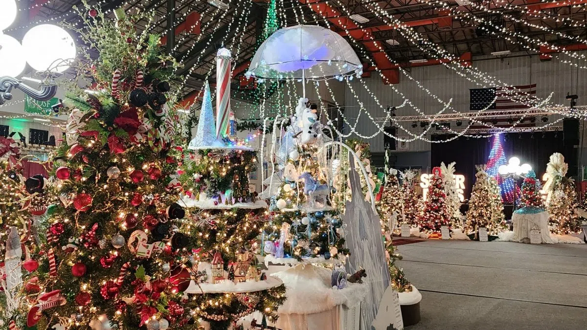 Festival of Trees 2024 North Pole Magic Plans Taking Shape | Vermilion ...