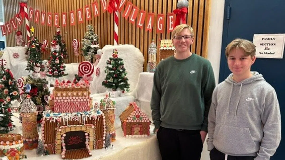 DHS Students Doing Their Part at Festival of Trees | Vermilion County First