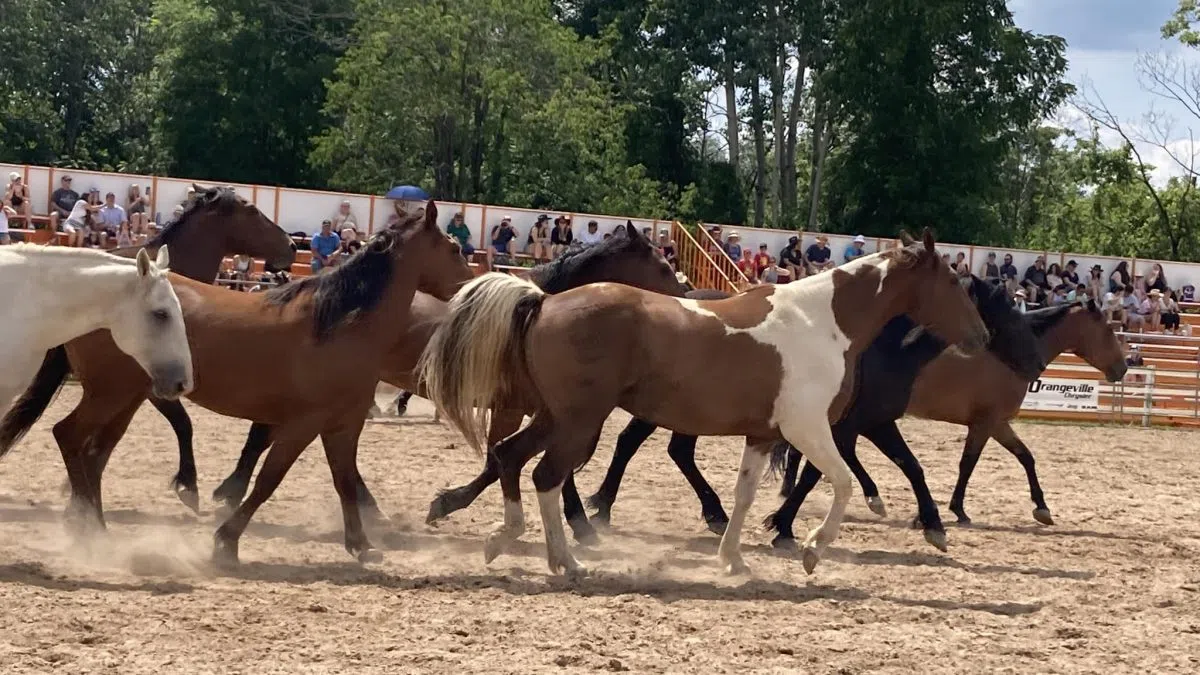Erin Ram Rodeo 7/20/24 | Country 105