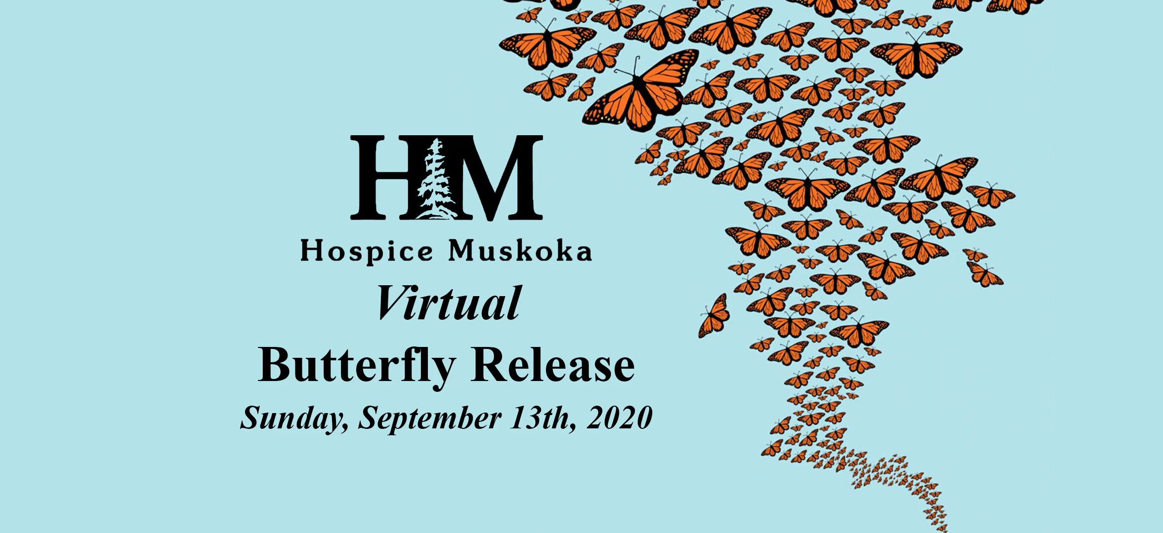 Virtual Butterfly Release in Muskoka Today | Bayshore Broadcasting News Centre