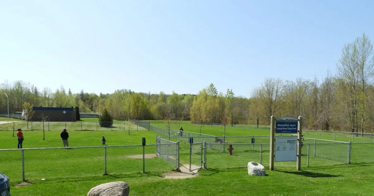 Planned Closure For Beautiful Joe Dog Park Delayed | Bayshore ...