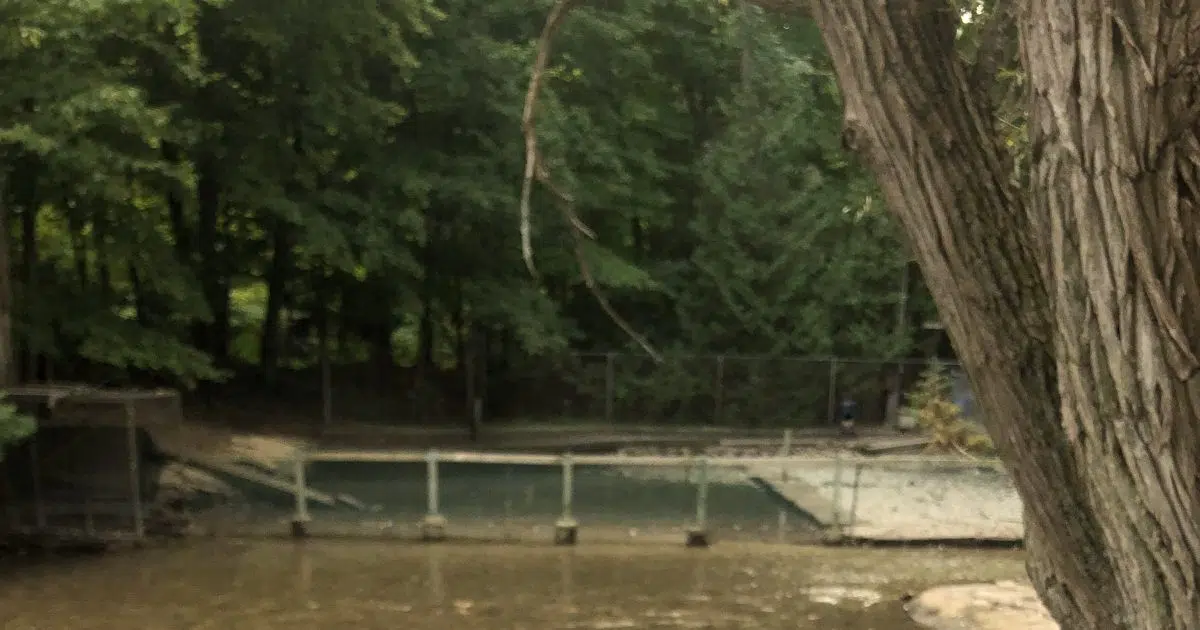 Local Resident Starts GoFundMe To Help Replace Harrison Park Birds ...