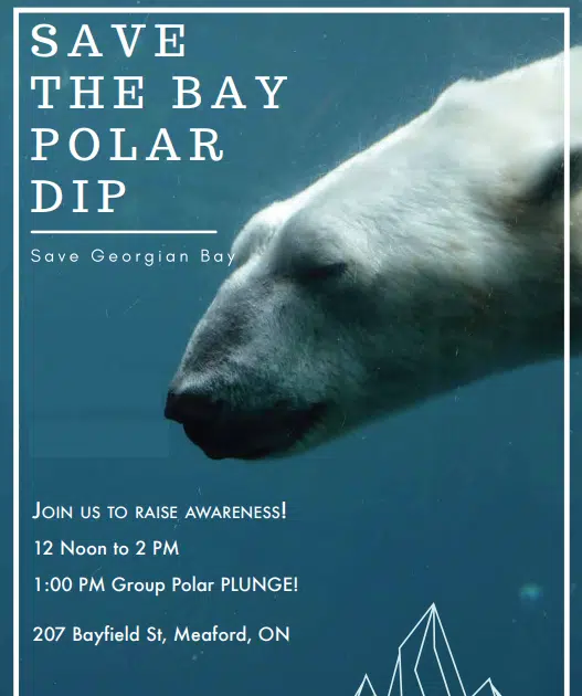 Volunteer Group To Hold Polar Dip In Meaford To Bring Attention To TC ...
