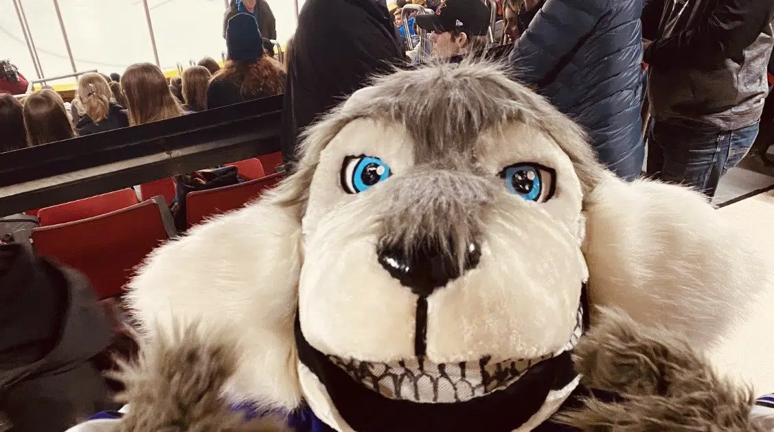 June 7/23 Bayshore Broadcasting Sports Sked | Bayshore Broadcasting ...