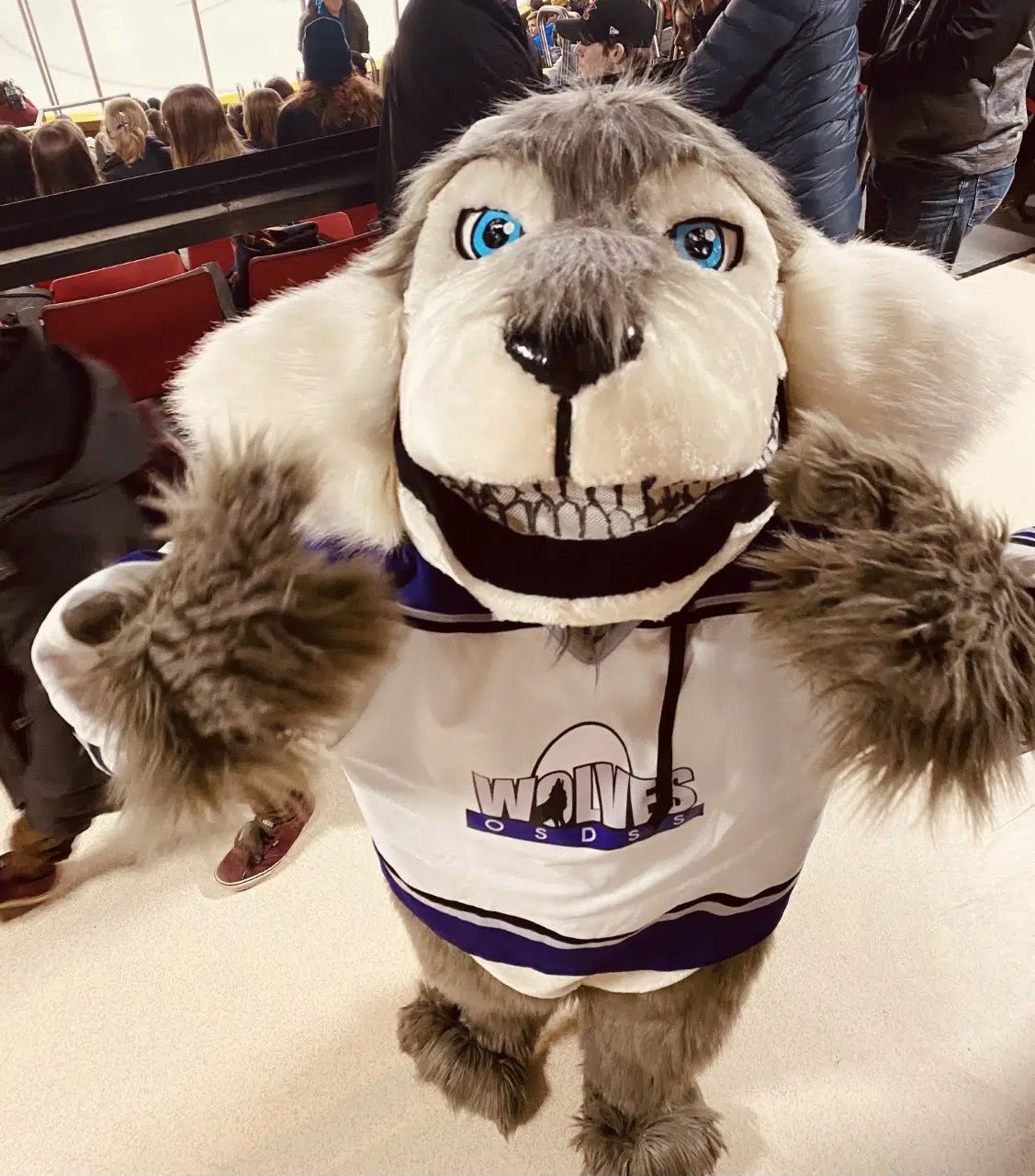 June 7/23 Bayshore Broadcasting Sports Sked | Bayshore Broadcasting ...