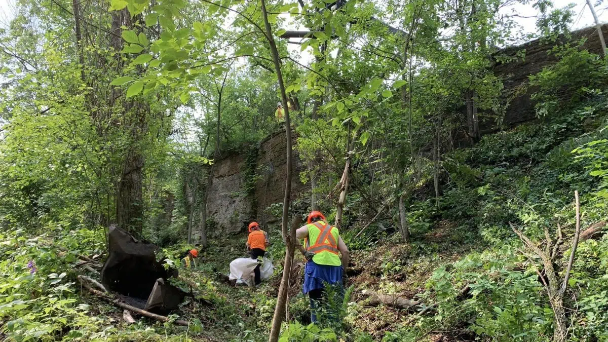 Search Held For Lisa Maas On 35th Anniversary Of Her Disappearance | Bayshore Broadcasting News ...