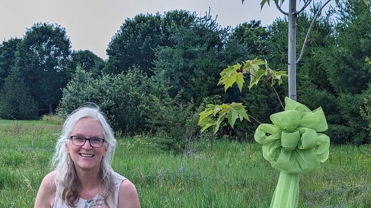 Grey Sauble Conservation Authority Fulfills Dream At Inglis Falls ...