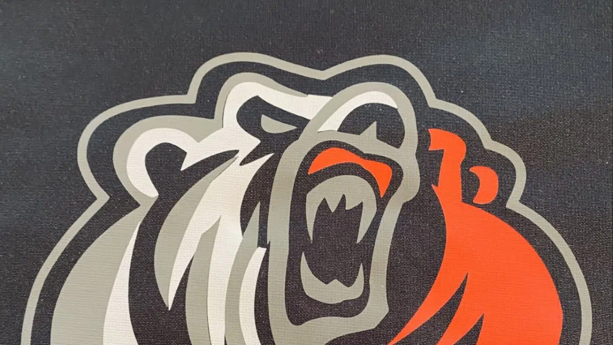 Attack/Steelheads Game Postponed | 97.9 the Bruce