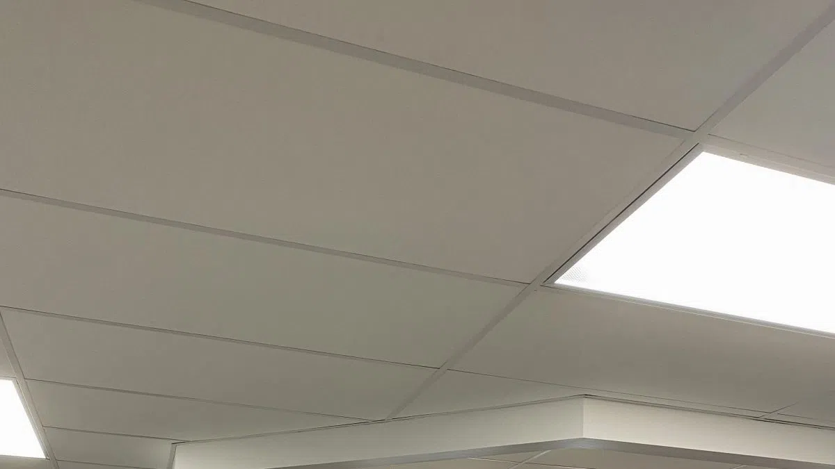 Markdale Library Branch Reopens After Renovations | Bayshore ...