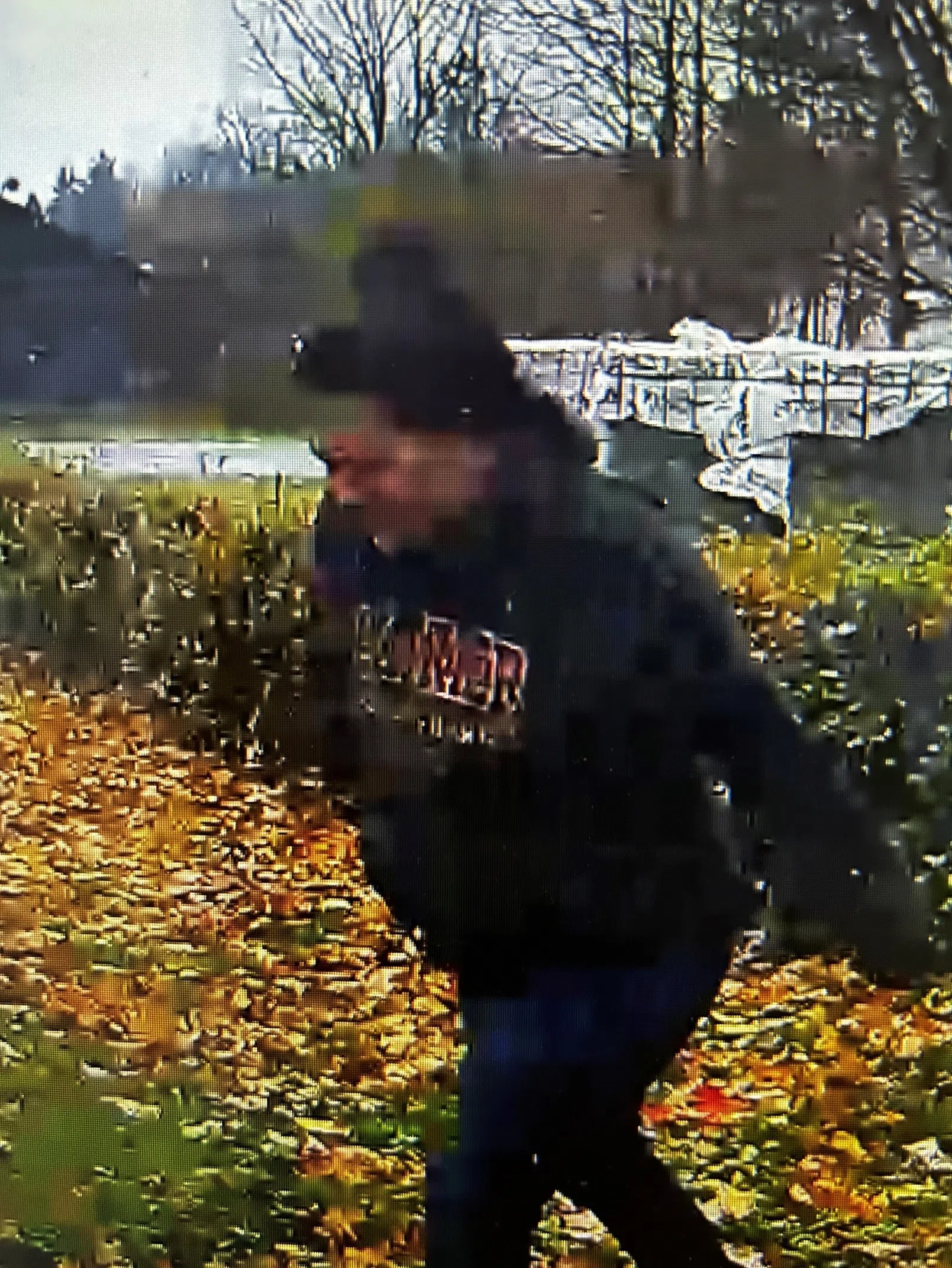 OPP Investigating Eugenia Break-In | Bayshore Broadcasting News Centre