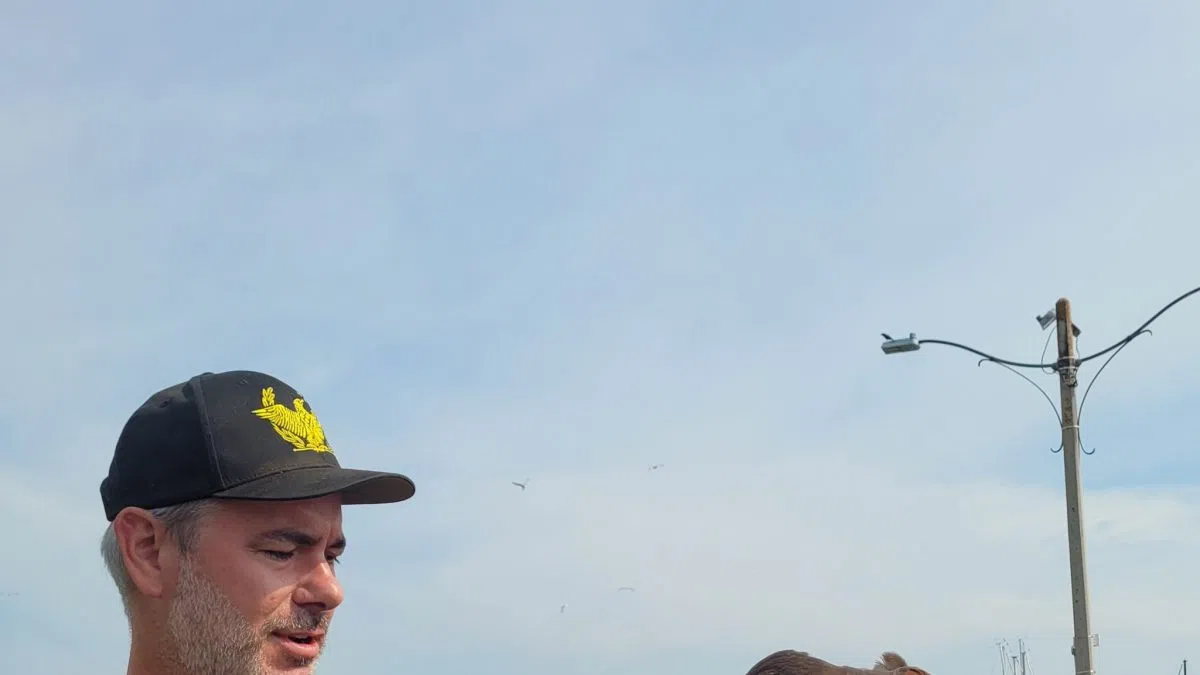 NBP To Consider Continue Using Falcons To Deter Pesky Birds From Public ...