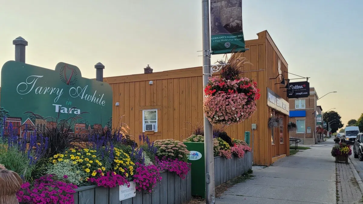 New Tara Community Working Group Aims To Boost Downtown | 97.9 the Bruce