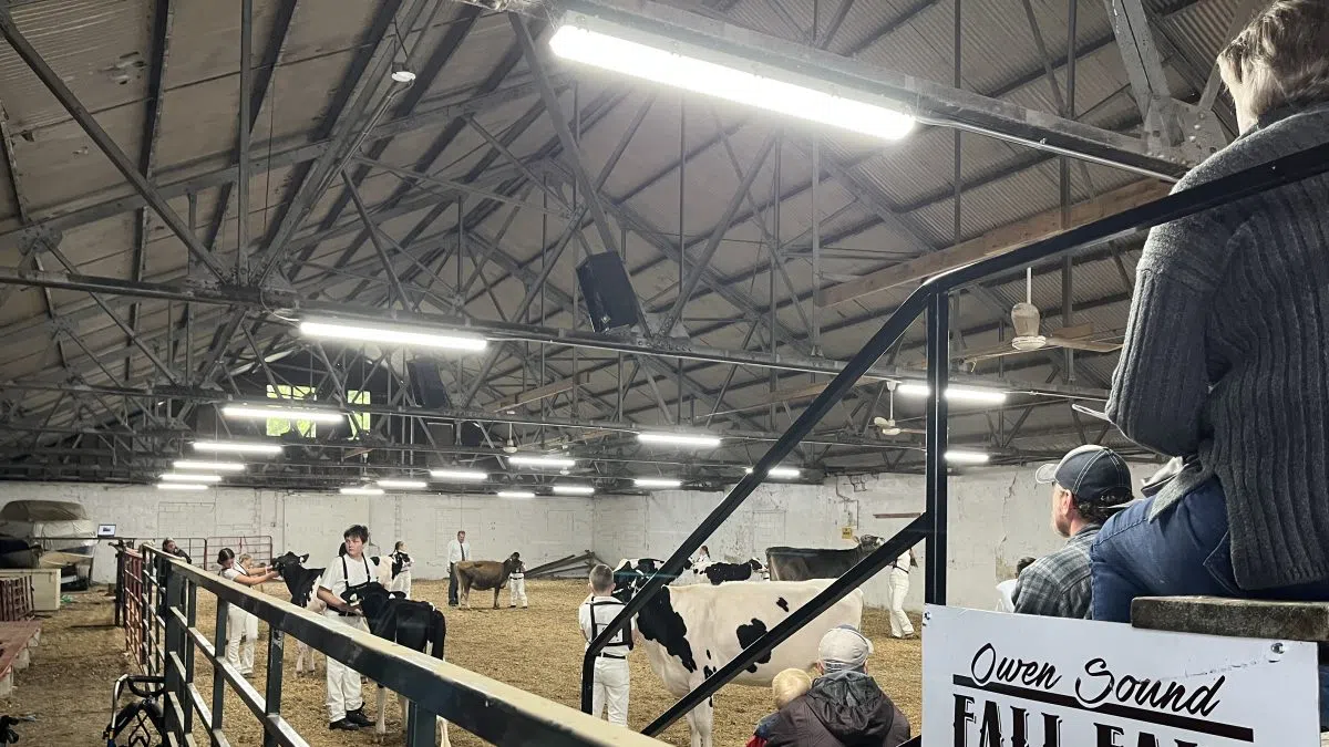 Owen Sound Fall Fair Draws Crowd | 89.3 CFOS FM