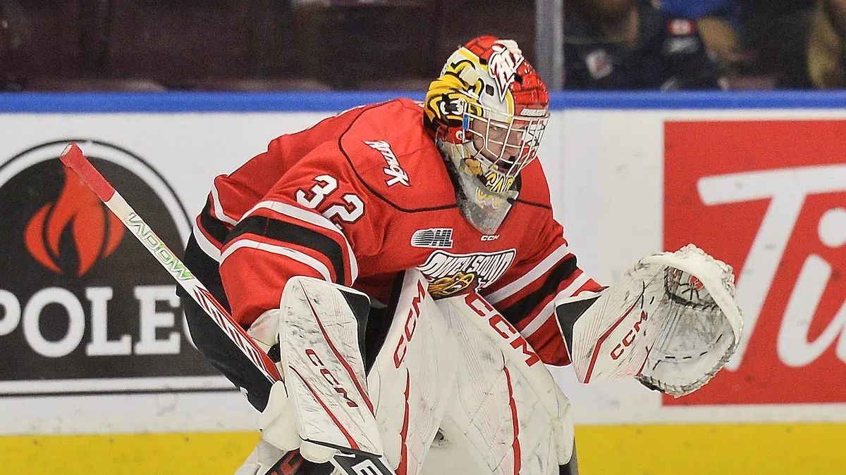 Attack Goaltender George Reassigned To AHL | Bayshore Broadcasting News ...