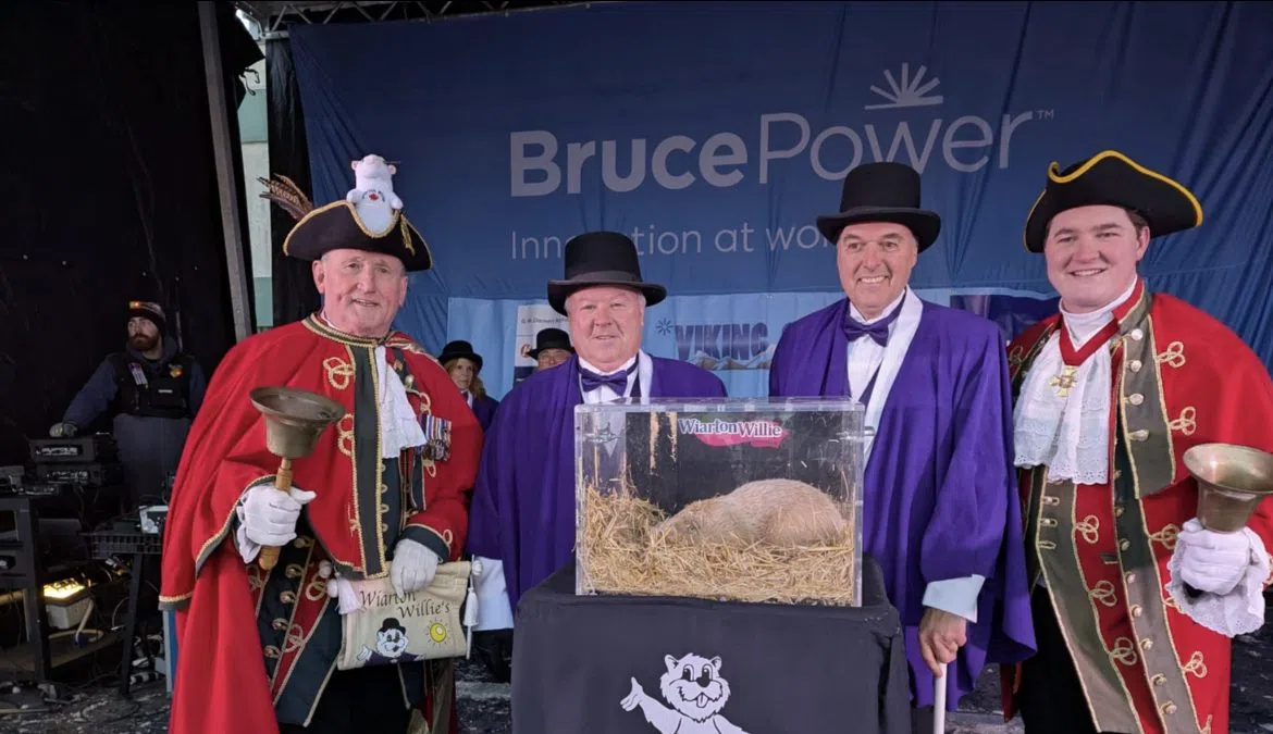 Wiarton Willie Predicts An Early Spring | Bayshore Broadcasting News Centre