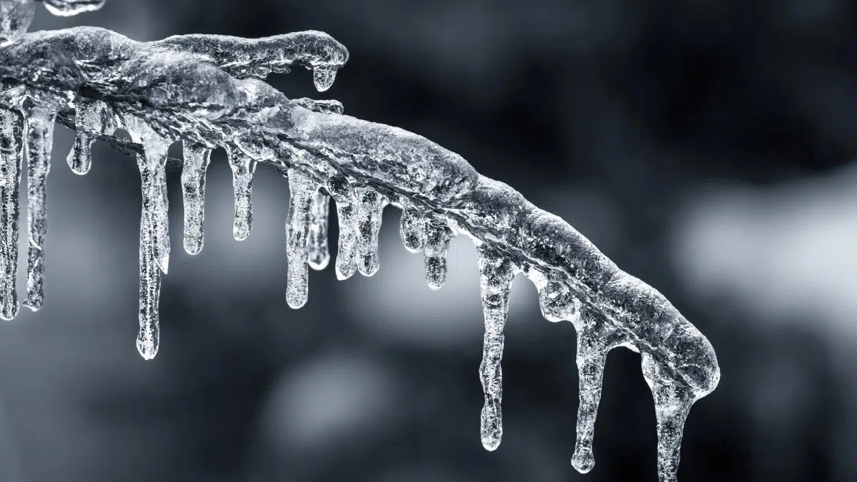 Ontario Supporting Spring Ice Storm Recovery | Bayshore Broadcasting ...