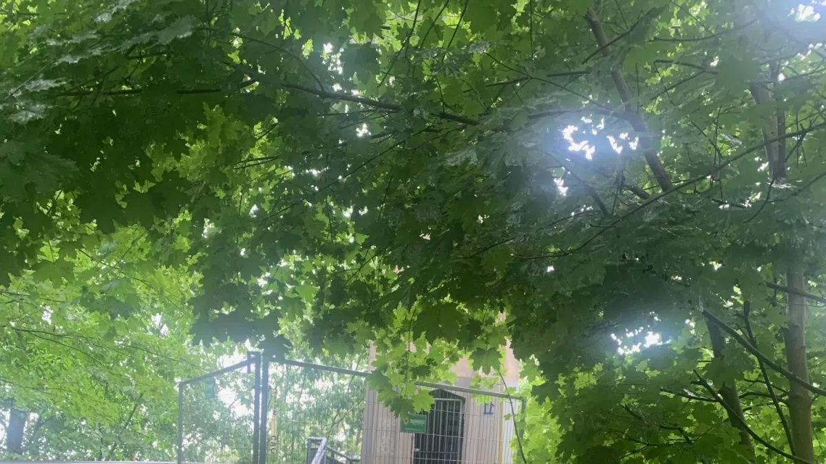 Owen Sound’s Centennial Tower Requires $265K In Repairs To Re-Open | 89 ...