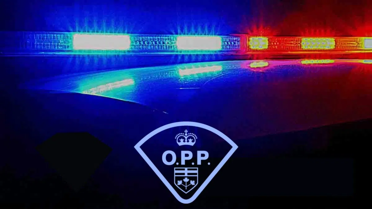 OPP LAY MULTIPLE CHARGES AFTER RESPONDING TO A FAMILY DISPUTE ...