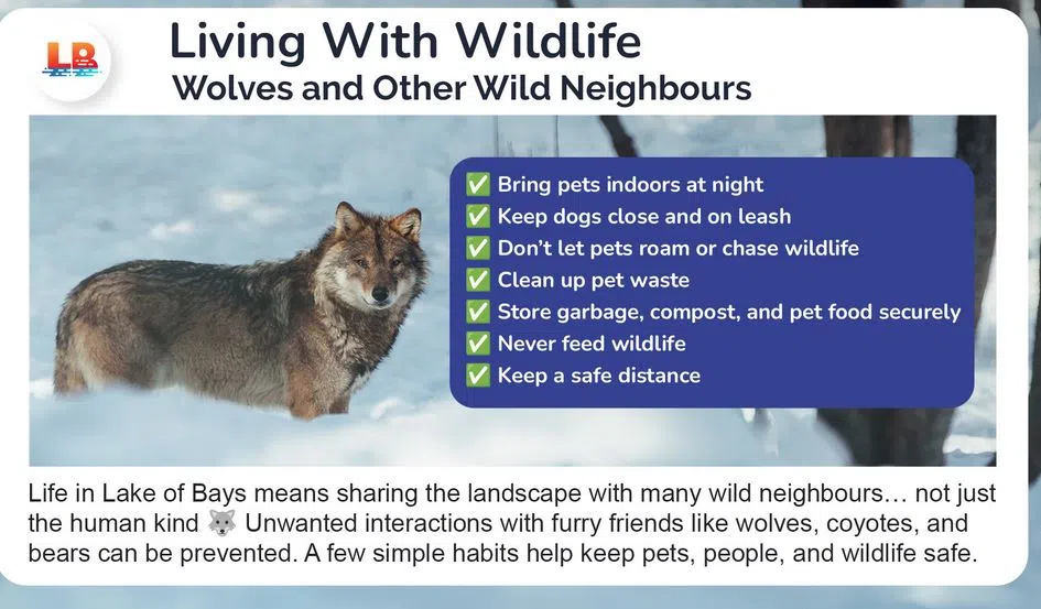 Living With Wildlife: Wolves and Other Wild Neighbours | Country 102