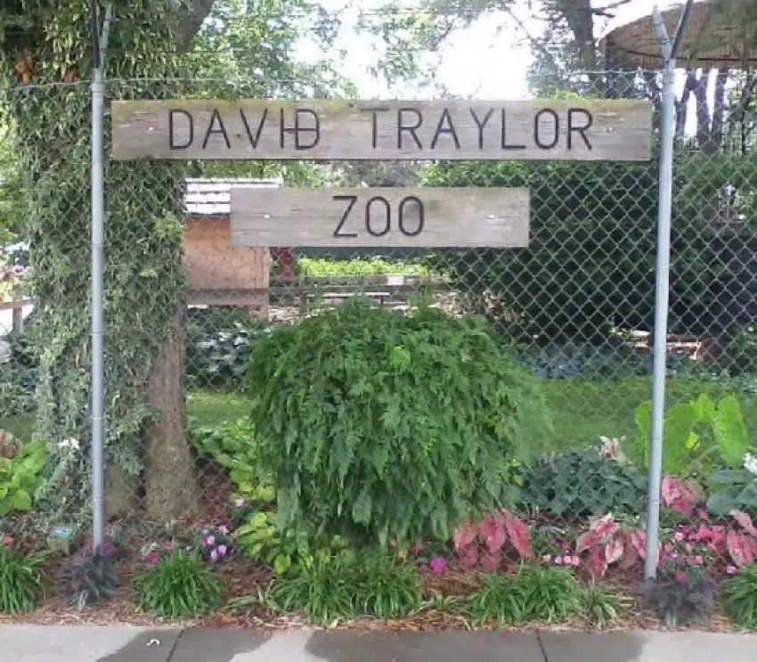 Summer activities abound as David Traylor Zoo celebrates National Zoo ...
