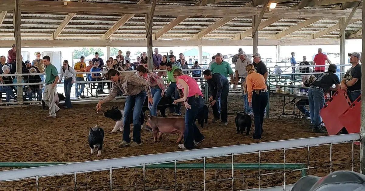 Lyon County Fairgrounds hosts 2023 Gary Fuller Spring Classic show ...