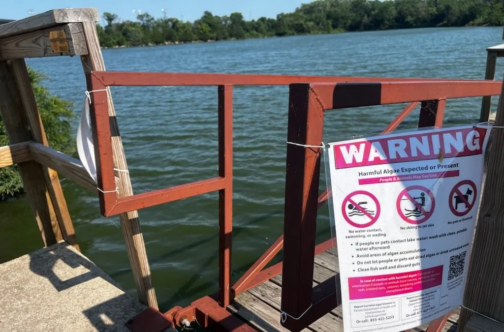 Algae warning continues for King Lake; new warnings posted for Melvern ...
