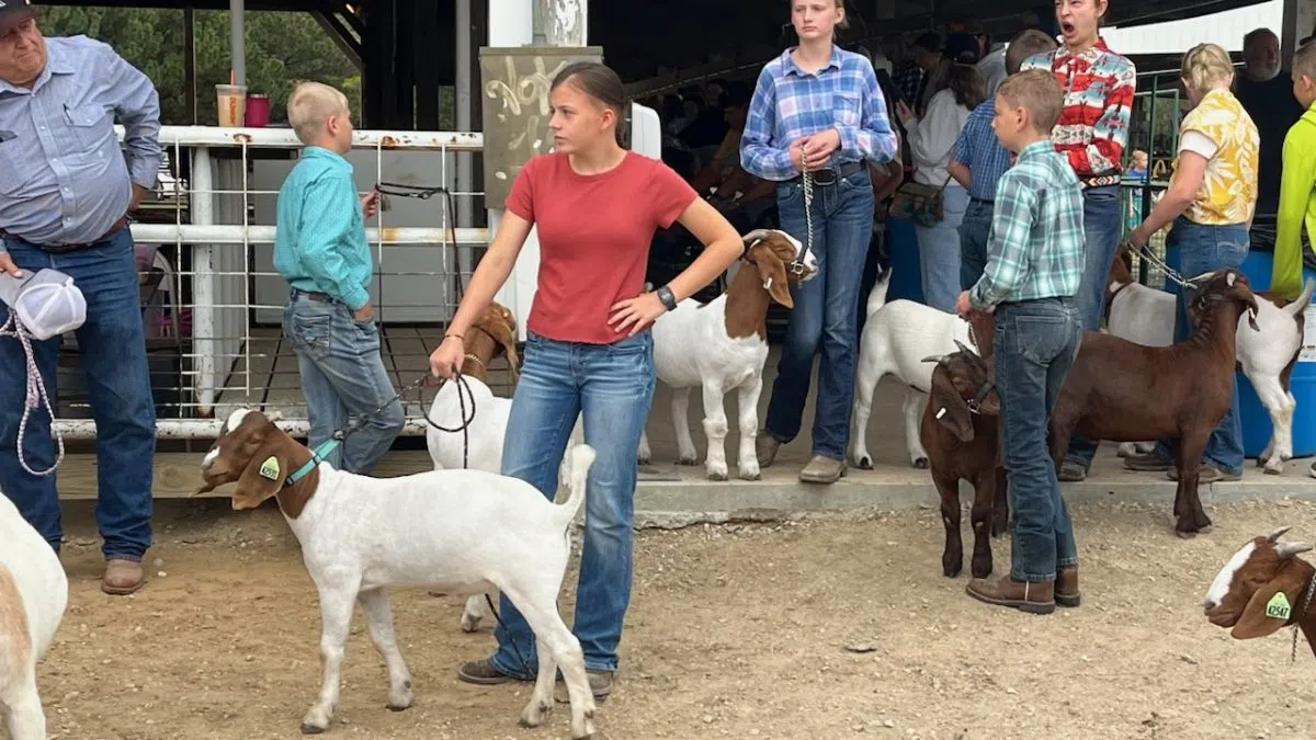 LYON COUNTY FAIR: Sights and sounds | KVOE