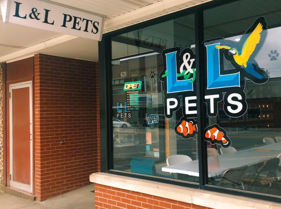 UPDATE: Supply chain, decline in foot traffic and increase in online ...