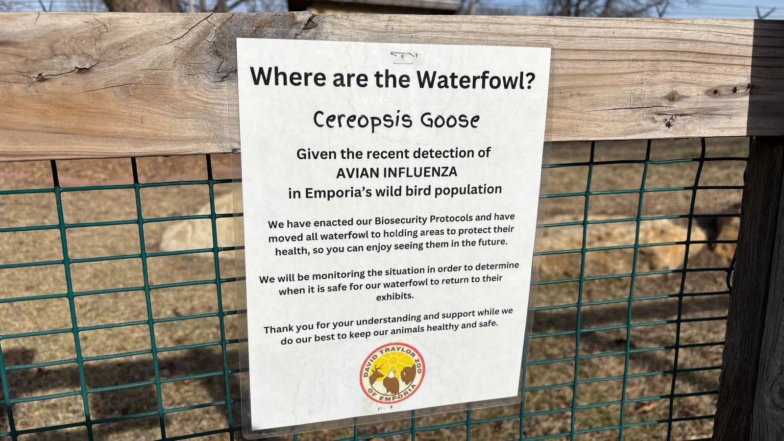 Birds doing well at David Traylor Zoo as HPAI outbreak continues ...