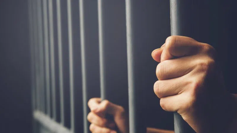 Syrian president will visit White House in early November, foreign ...