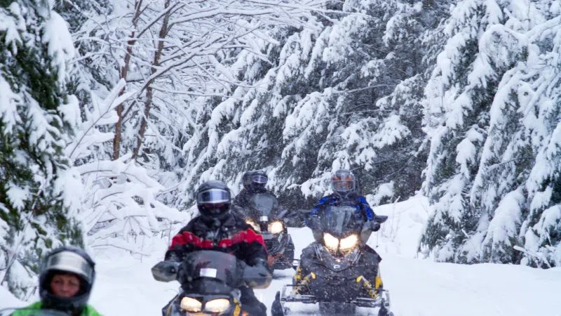 Germany to back France-led two-state solution to Israel-Palestine ...