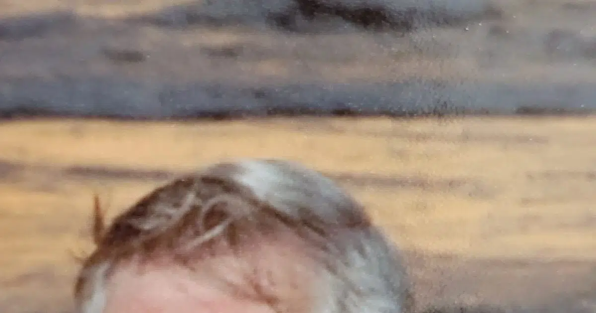 Grover Bennett | Vandalia Radio