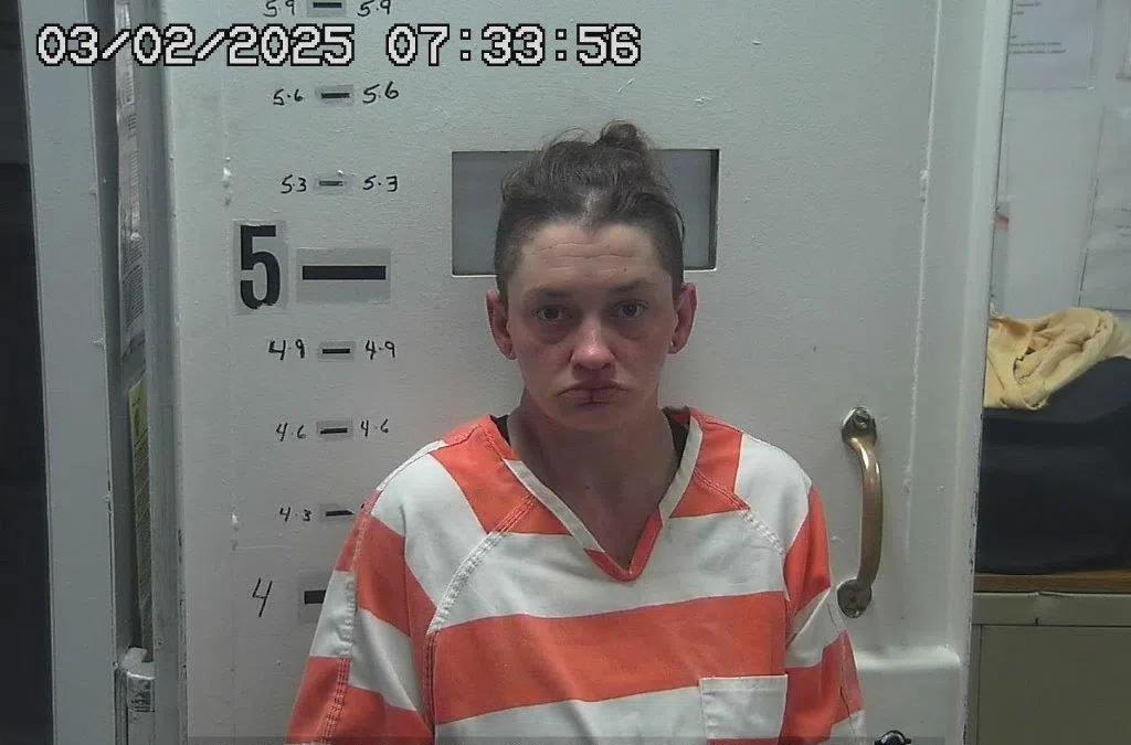 Flora woman awaiting trial in Fayette County sentenced to 6 years in prison in Clay County ...