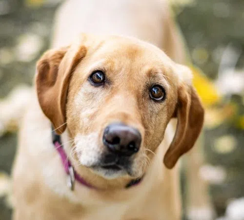 KTWB Big Country 92.5