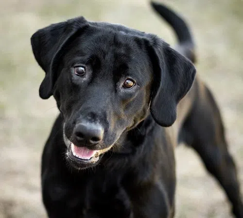 KTWB Big Country 92.5