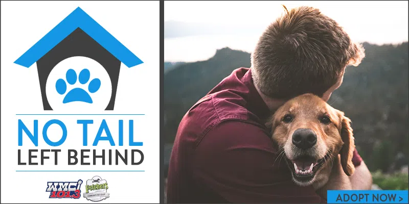 No Tail Left Behind | MyRadioLink.com