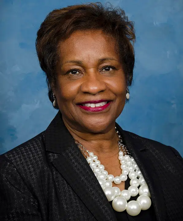 Clay County Hospital Welcomes Denise Williams As Interim President ...