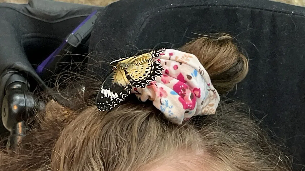 Taylor R. Matlock, 13 | Effingham Radio