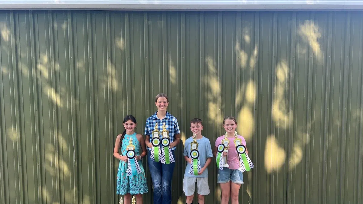 Effingham County 4-H Cat Show Winners Revealed | Effingham Radio