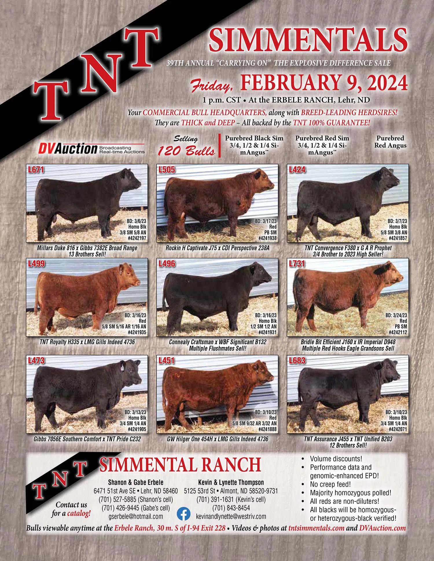TNT Simmental Ranch Annual "Genetic Explosion" Simmental & Red Angus ...