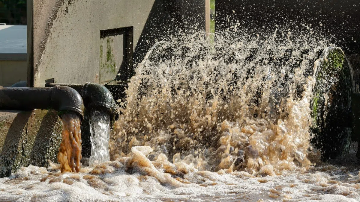 Cascade Power Plant to dispose of wastewater at Town of Edson ...