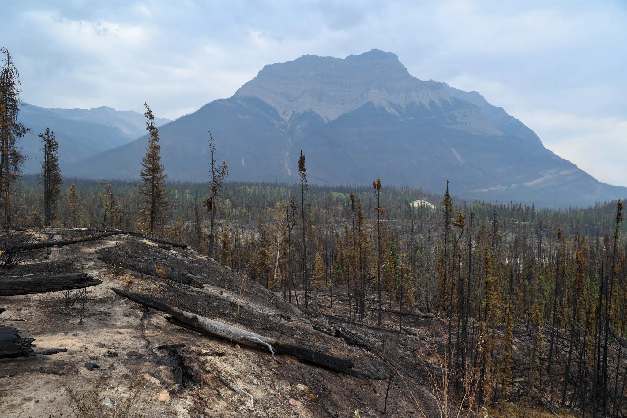 Jasper Complex Wildfire update – July 30 | XM 105