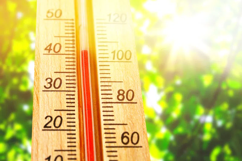 Edson area sets temperature record during unusually warm week in ...