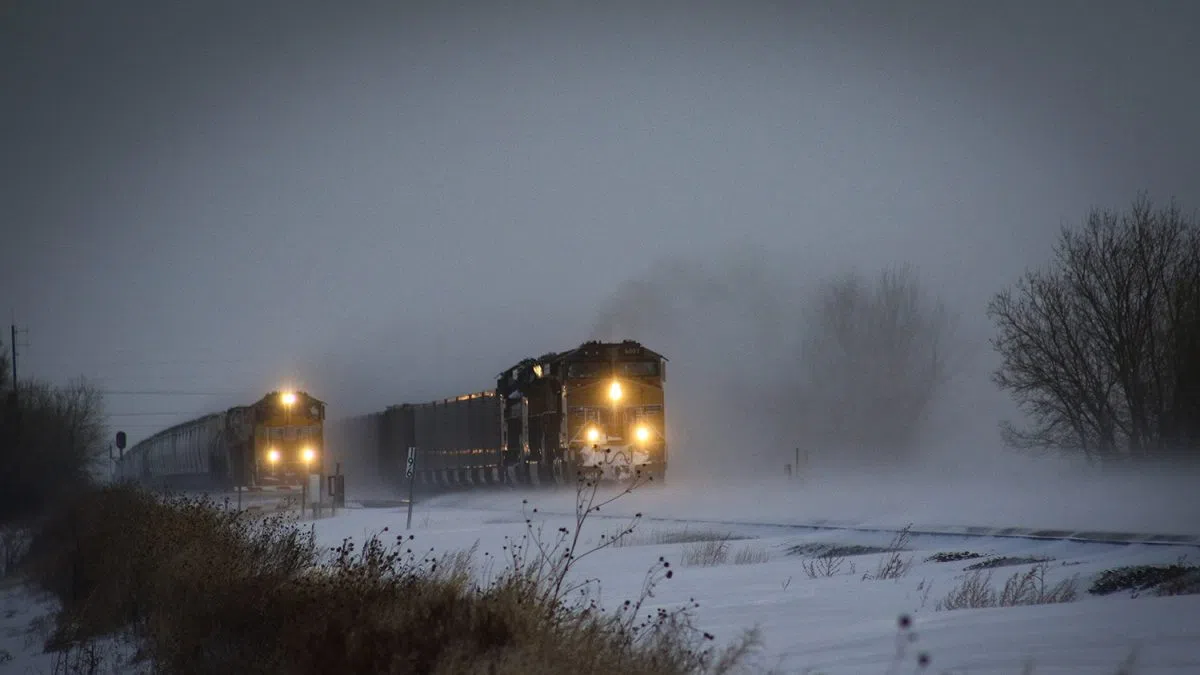 Gallery: Ground Blizzard, 1-19-24 | 1340 KGFW - The Information Channel