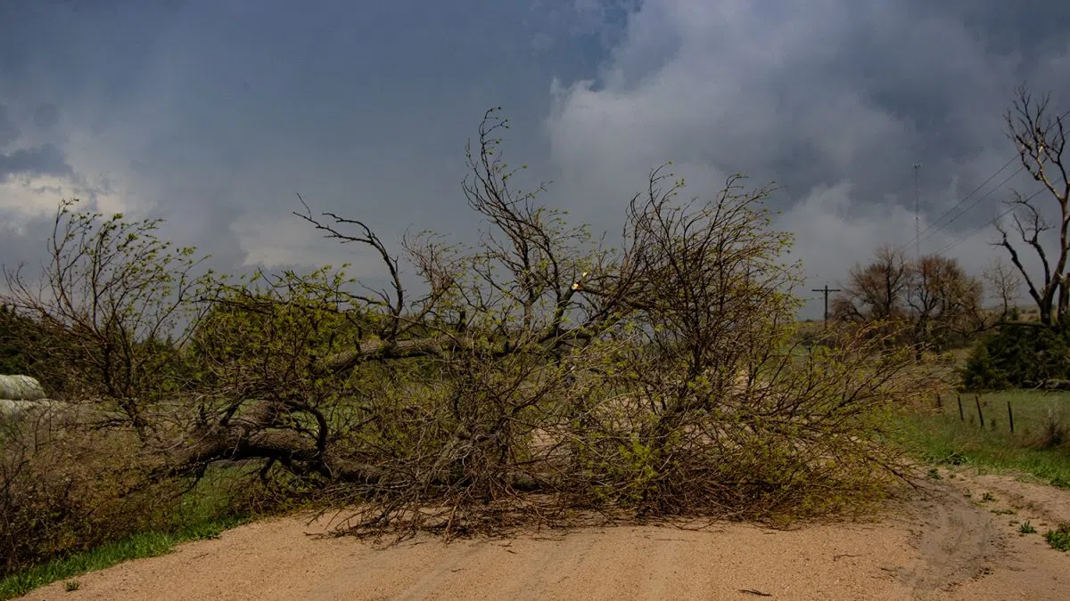 Gov. Pillen issues emergency declaration for three counties | Central ... Gov. Pillen issues emergency declaration for three counties | Central ...